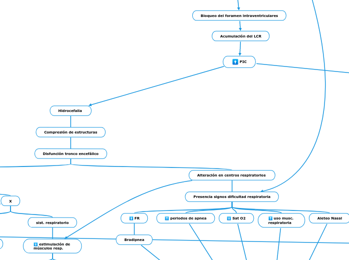 Paciente 2 meses de edad - Adimen Mapa